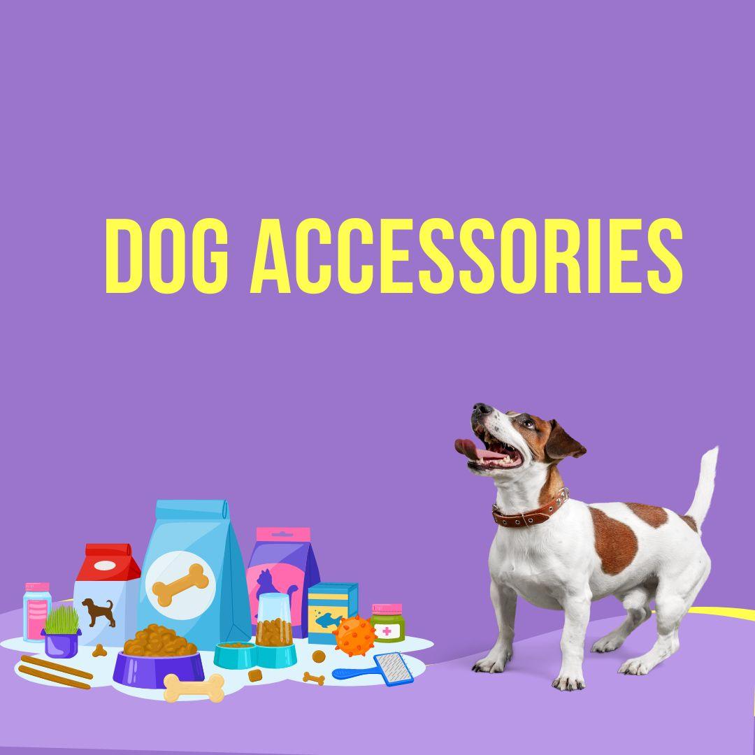 Pawsitively Chic: The Latest Trends in Dog Fashion Accessories ...
